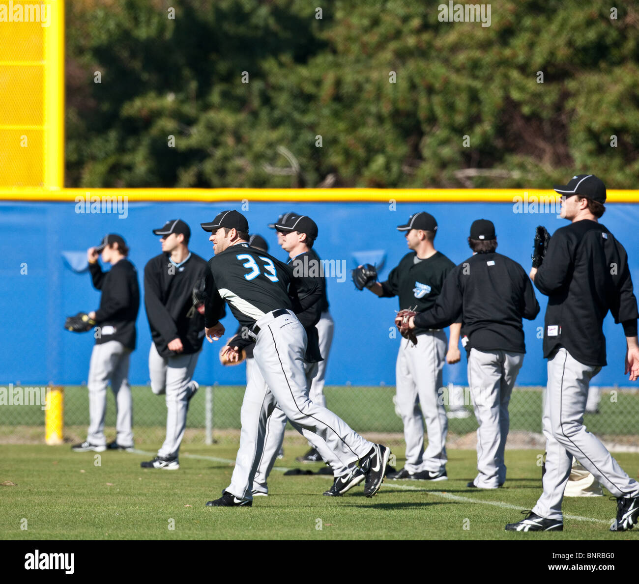 Dunedin florida blue jays hi-res stock photography and images - Alamy