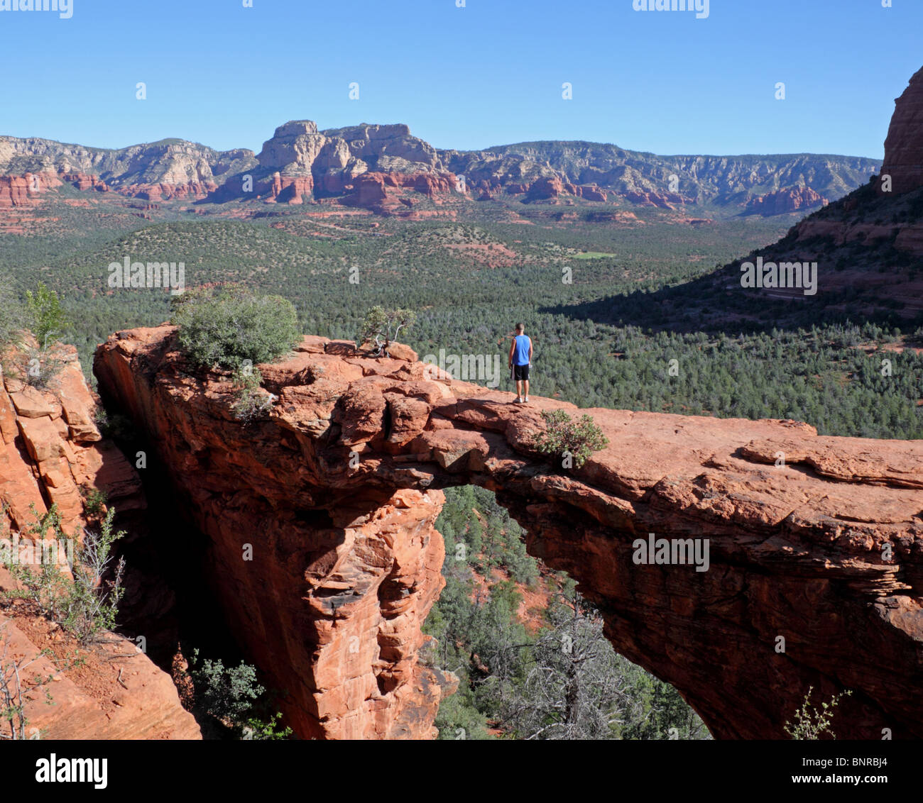 Hiker on Devil's Bridge in Sedona Stock Photo - Alamy