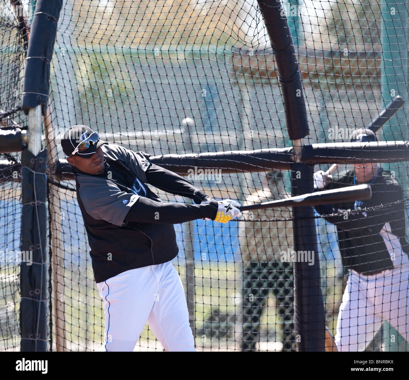 Dunedin florida blue jays hi-res stock photography and images - Alamy