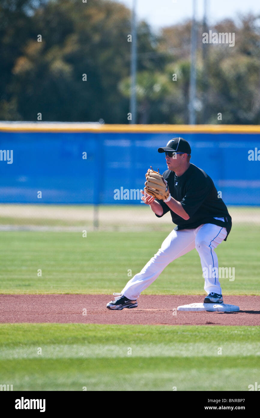 Dunedin stadium hi-res stock photography and images - Alamy