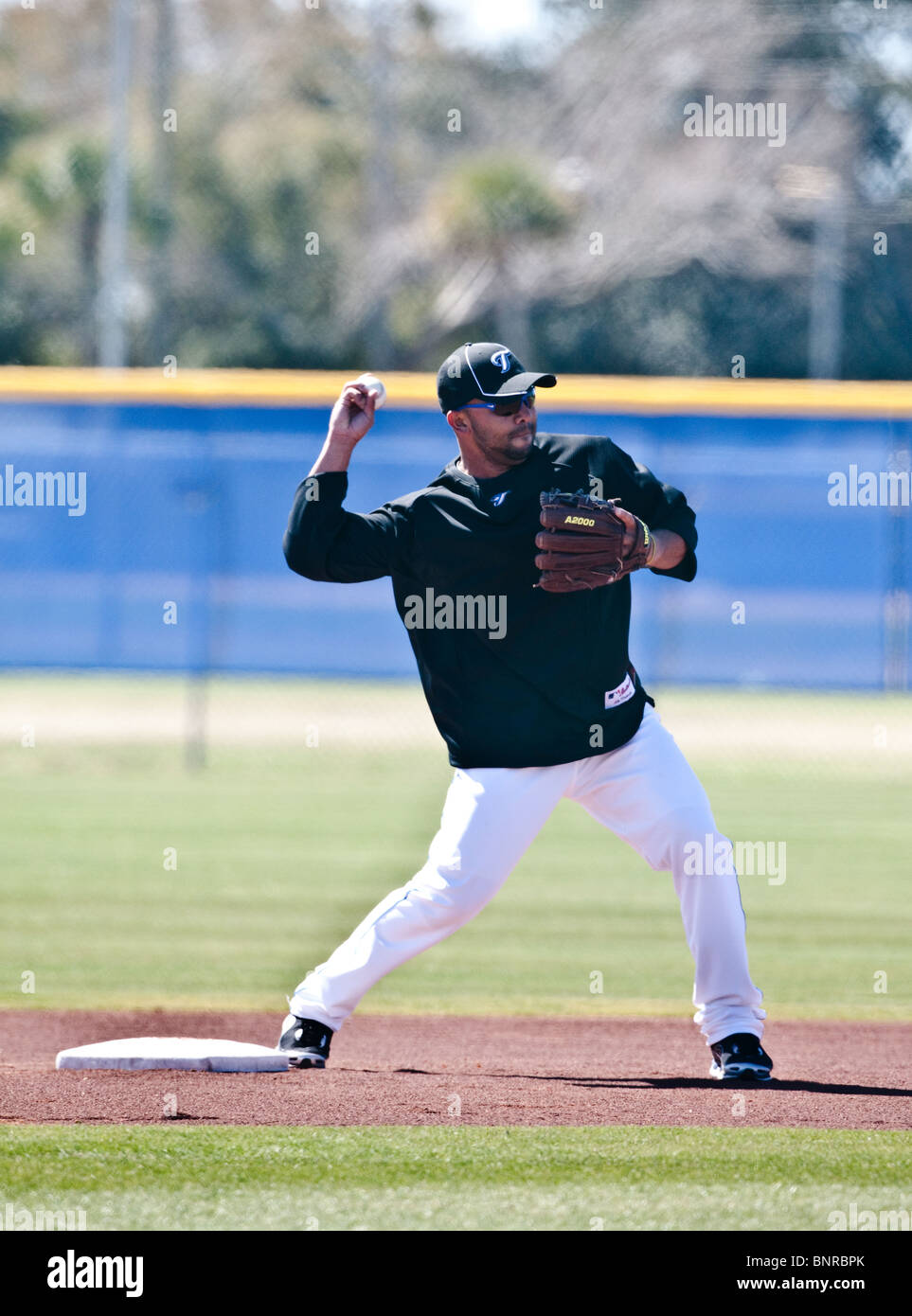 Dunedin stadium hi-res stock photography and images - Alamy