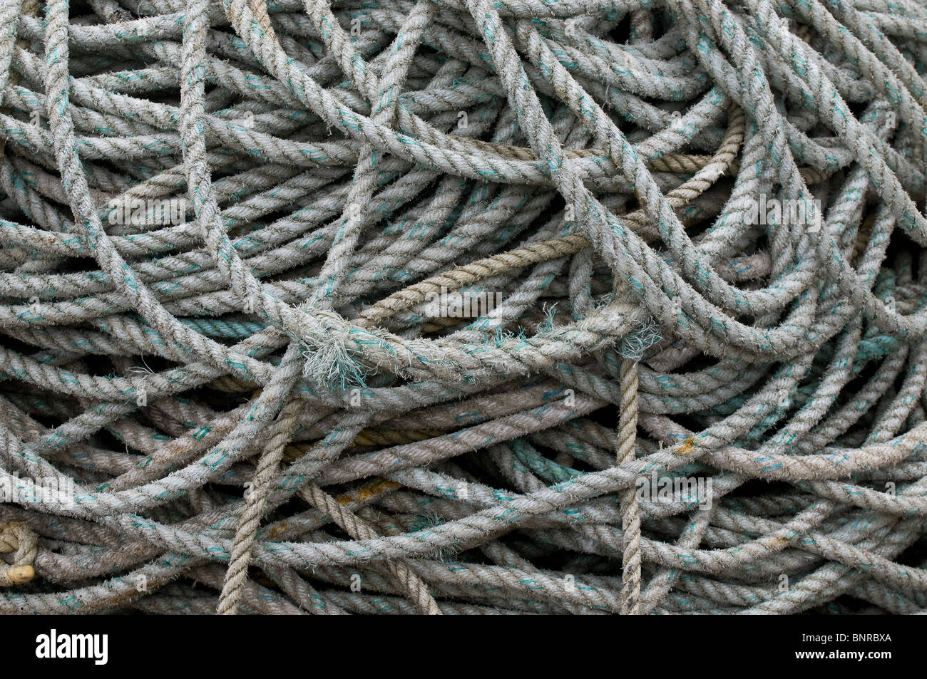 Rope. Photo by Gordon Scammell Stock Photo - Alamy
