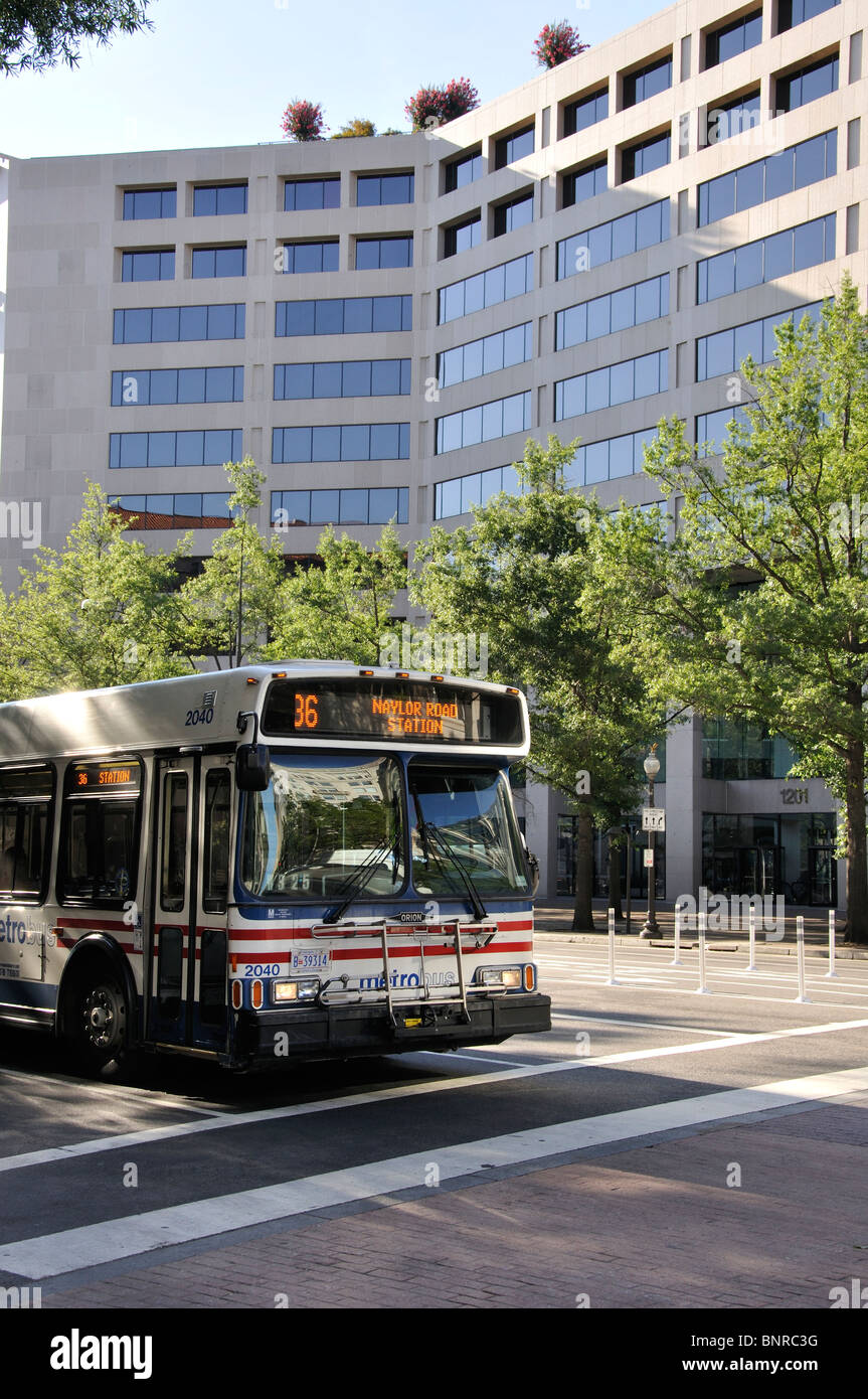 Bus in Washington DC, USA Stock Photo - Alamy