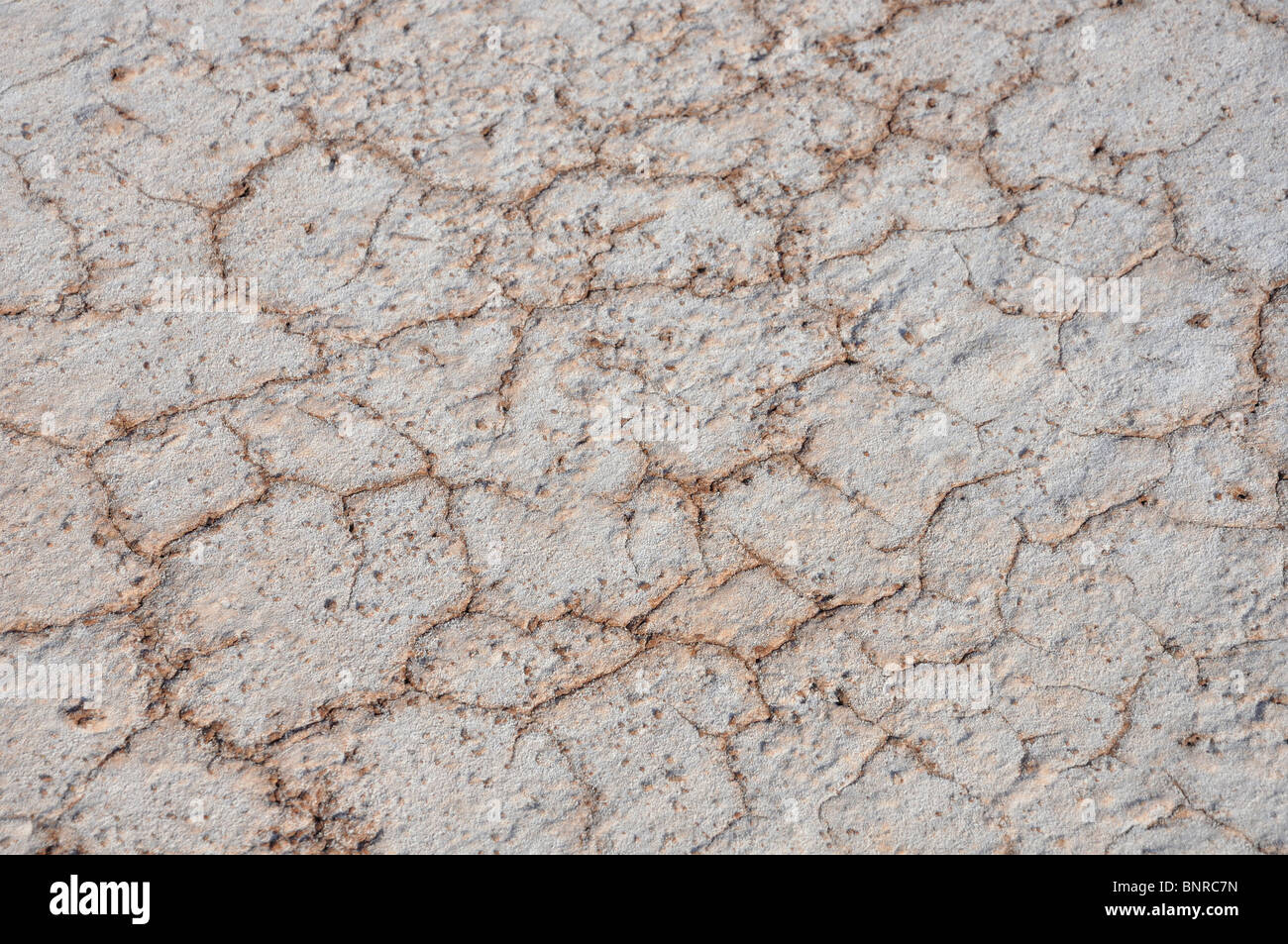 Cracked crust of Badwater salt flats, Death Valley National Park ...