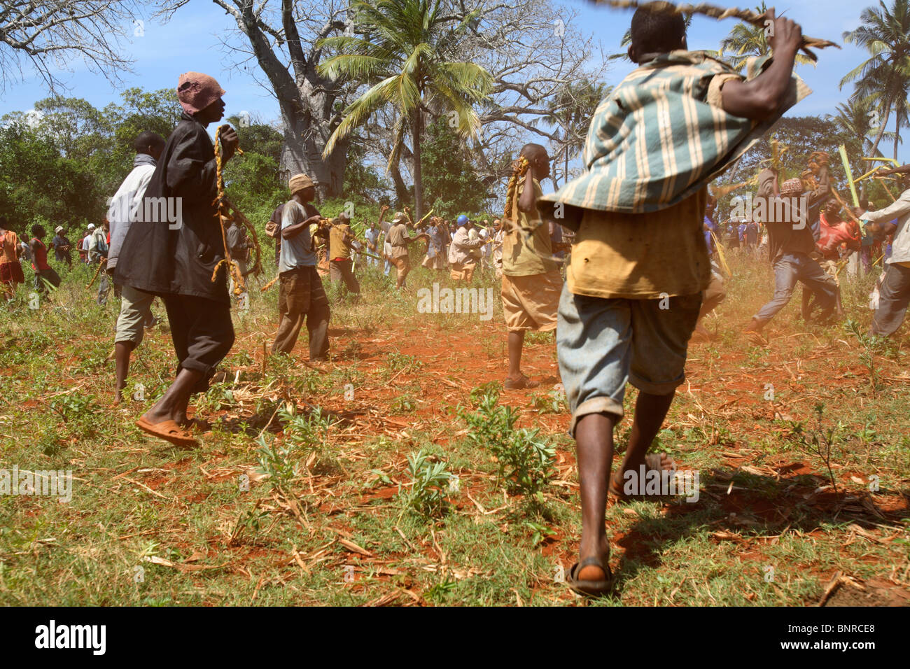 Mwaka Kogwa Celebration in Makunduchi, Zanzibar, Tanzania Stock Photo ...