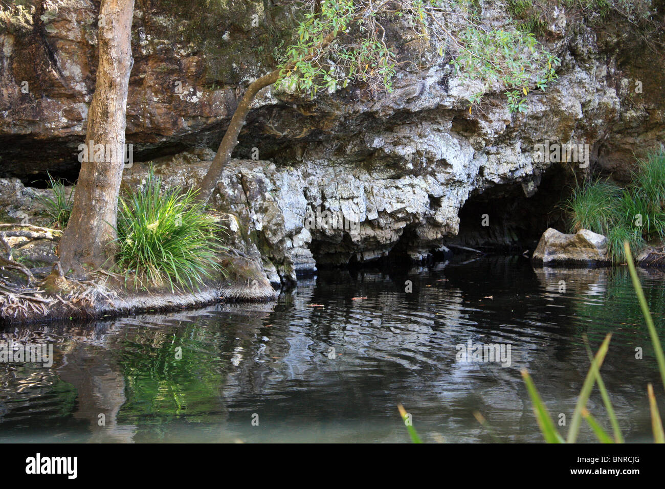 Ripples in a creek in Queensland, Australia Stock Photo - Alamy