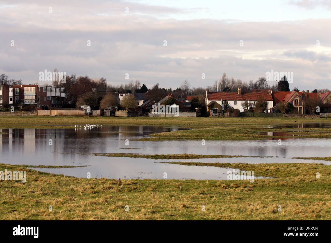 Flooded field in Wolvercote, Oxfordshire, England Stock Photo - Alamy