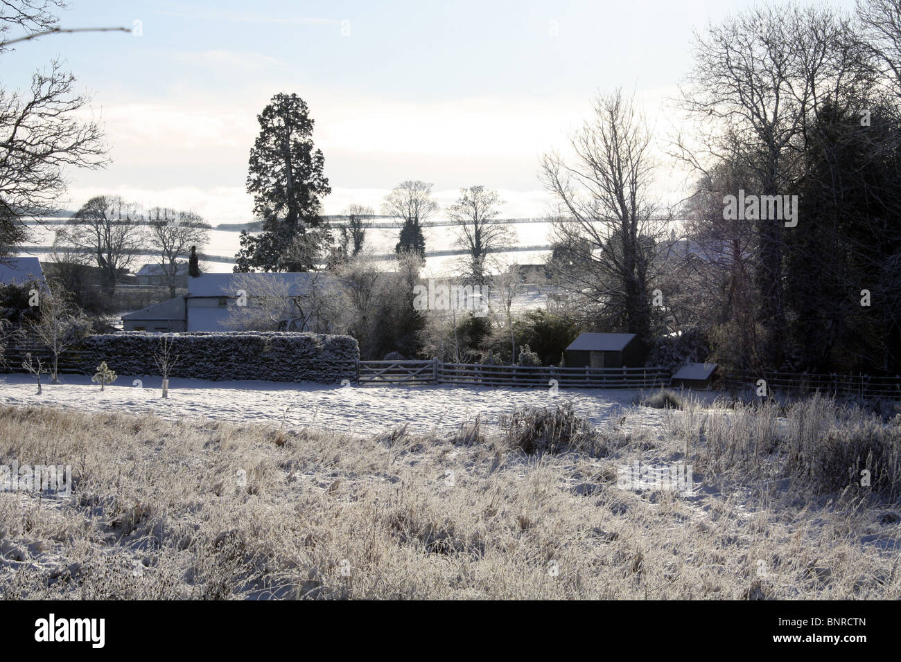 Farm in the snow North Yorkshire Stock Photo - Alamy