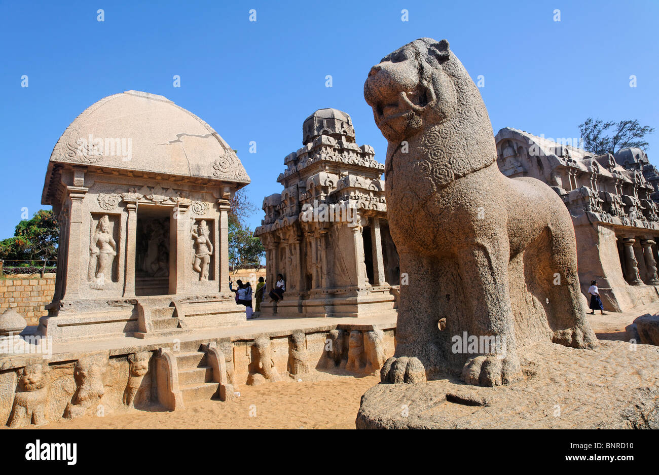 India - Tamil Nadu - Mamallapuram - lion statue at the Pancha Pandava ...