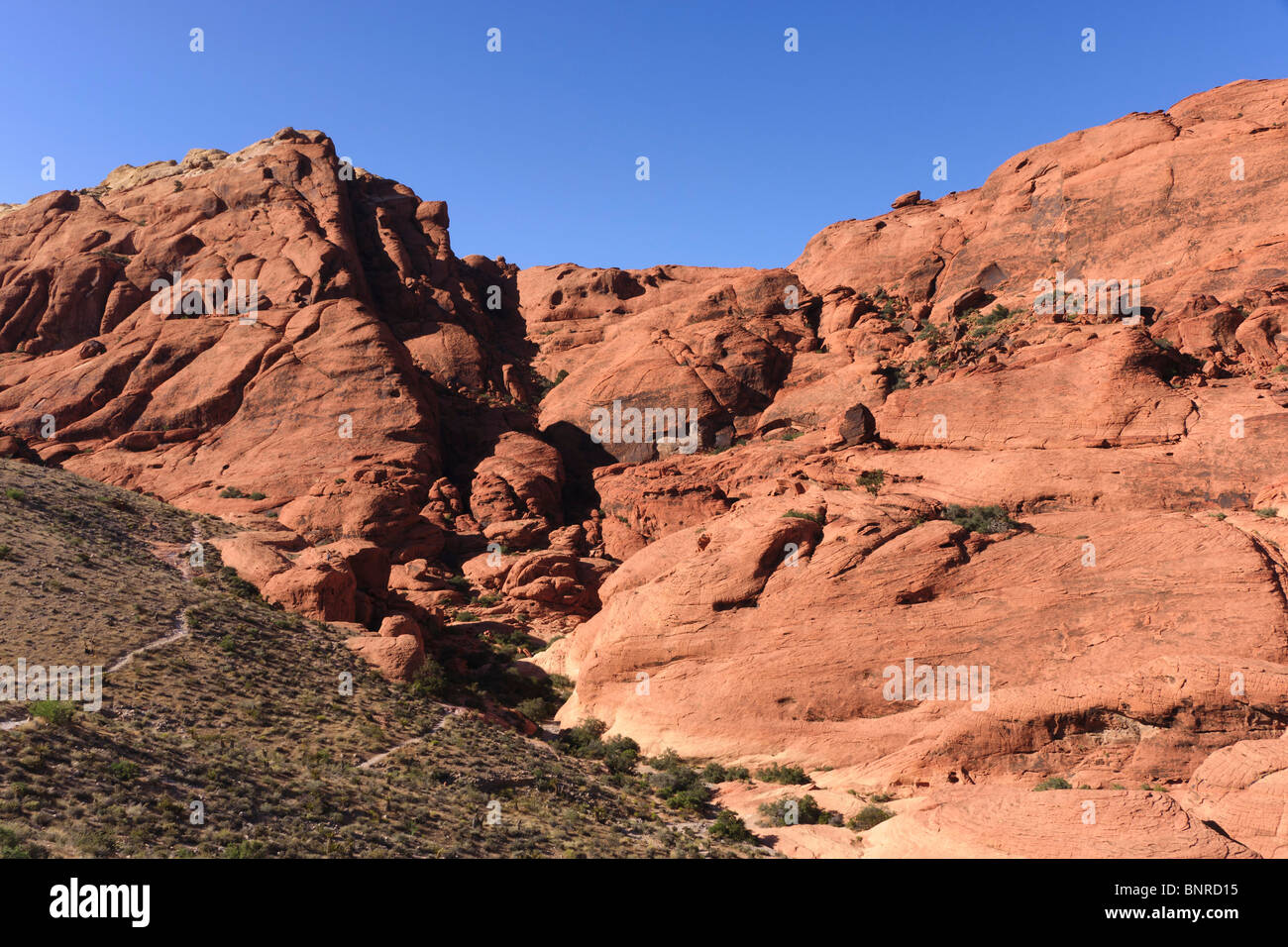 Red Rock Canyon Las Vegas state park - Calico Hills pink sandstone rock ...