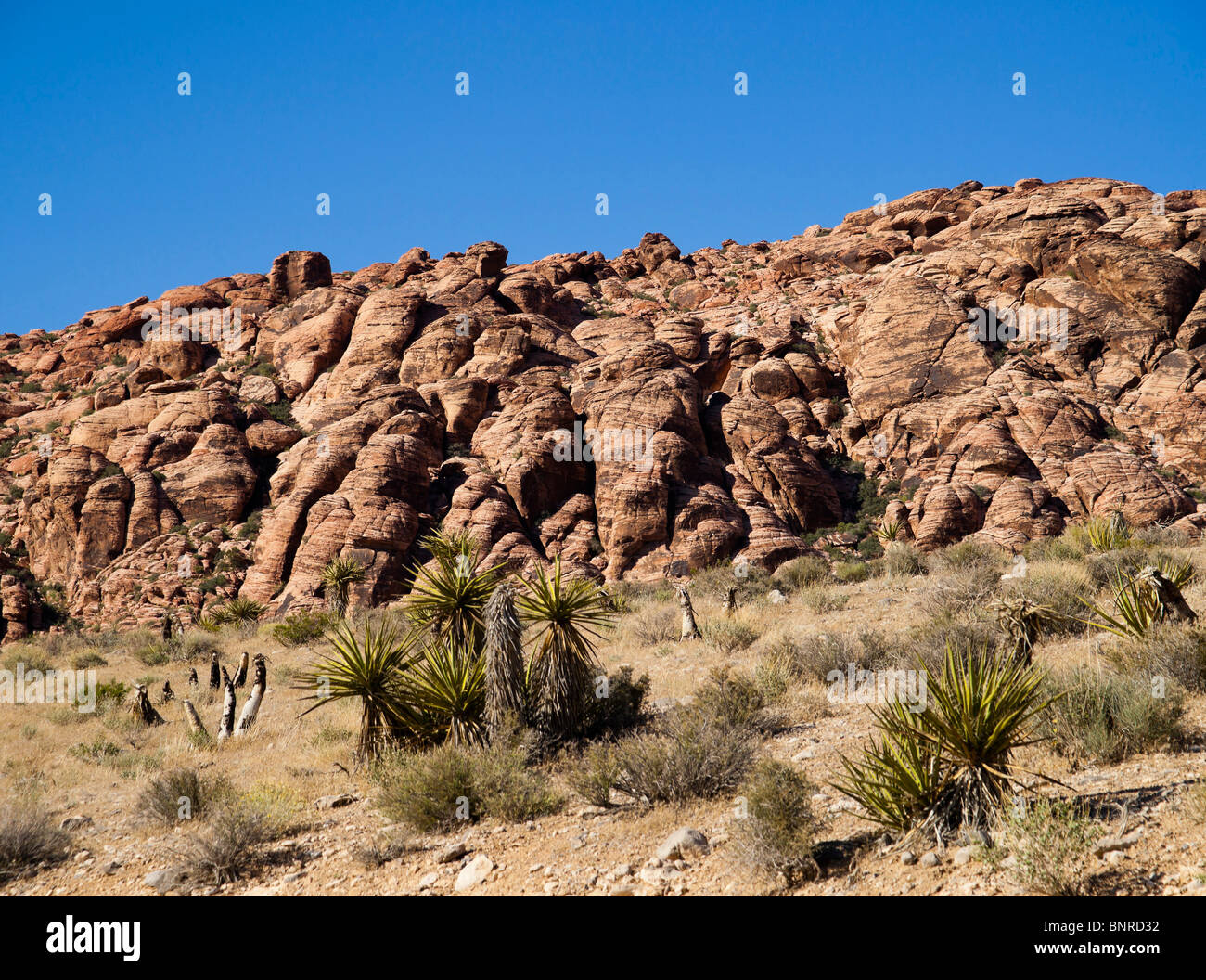 Red Rock Canyon Las Vegas state park - Calico Hills Stock Photo - Alamy