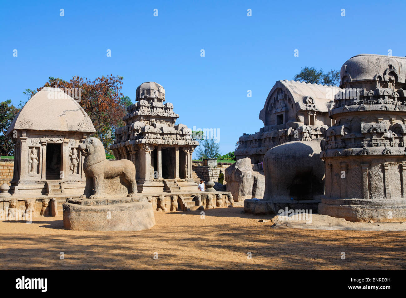 India - Tamil Nadu - Mamallapuram - Pancha Pandava Rathas Stock Photo ...