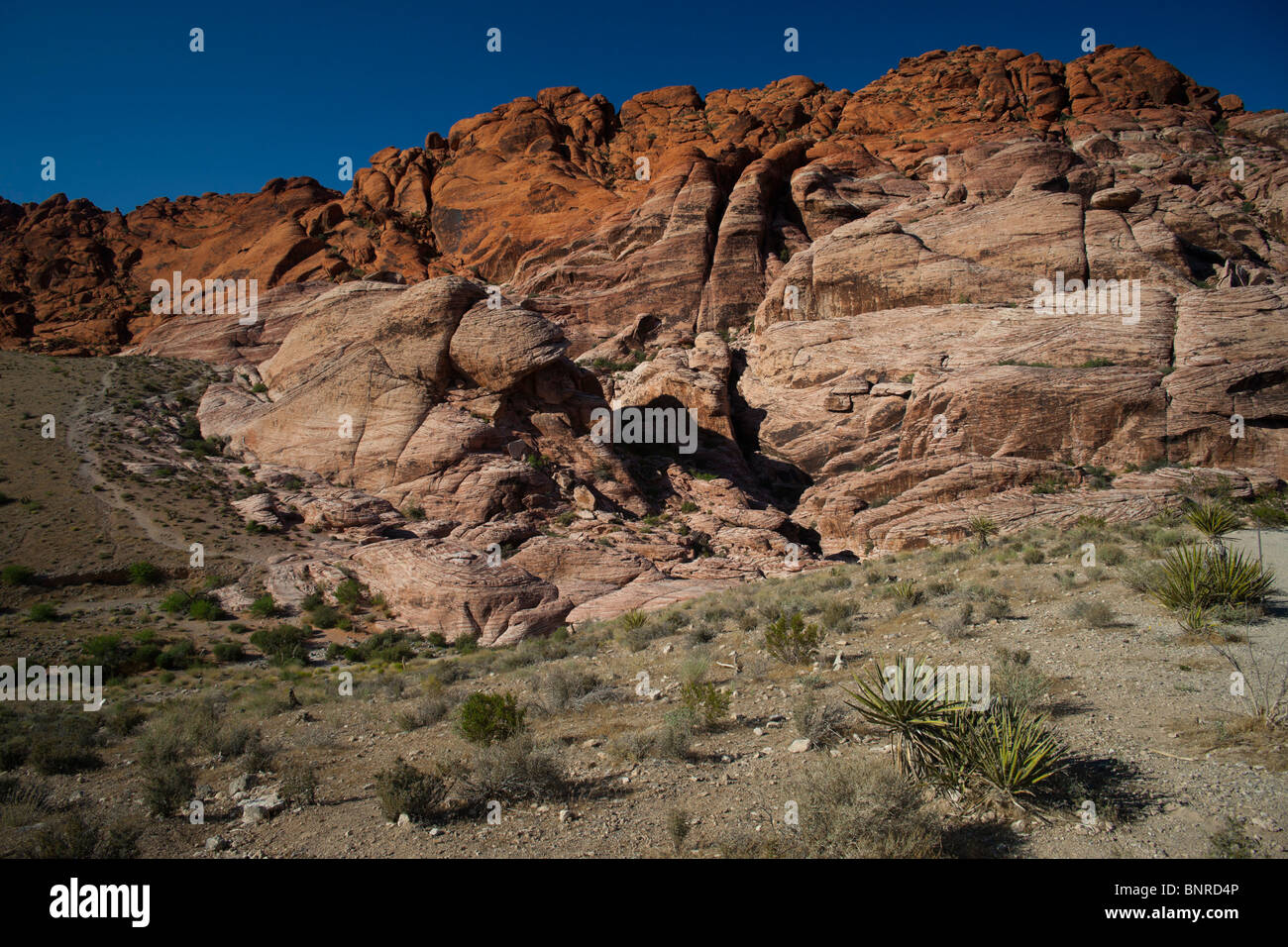 Red Rock Canyon Las Vegas state park - Calico Hills Stock Photo - Alamy