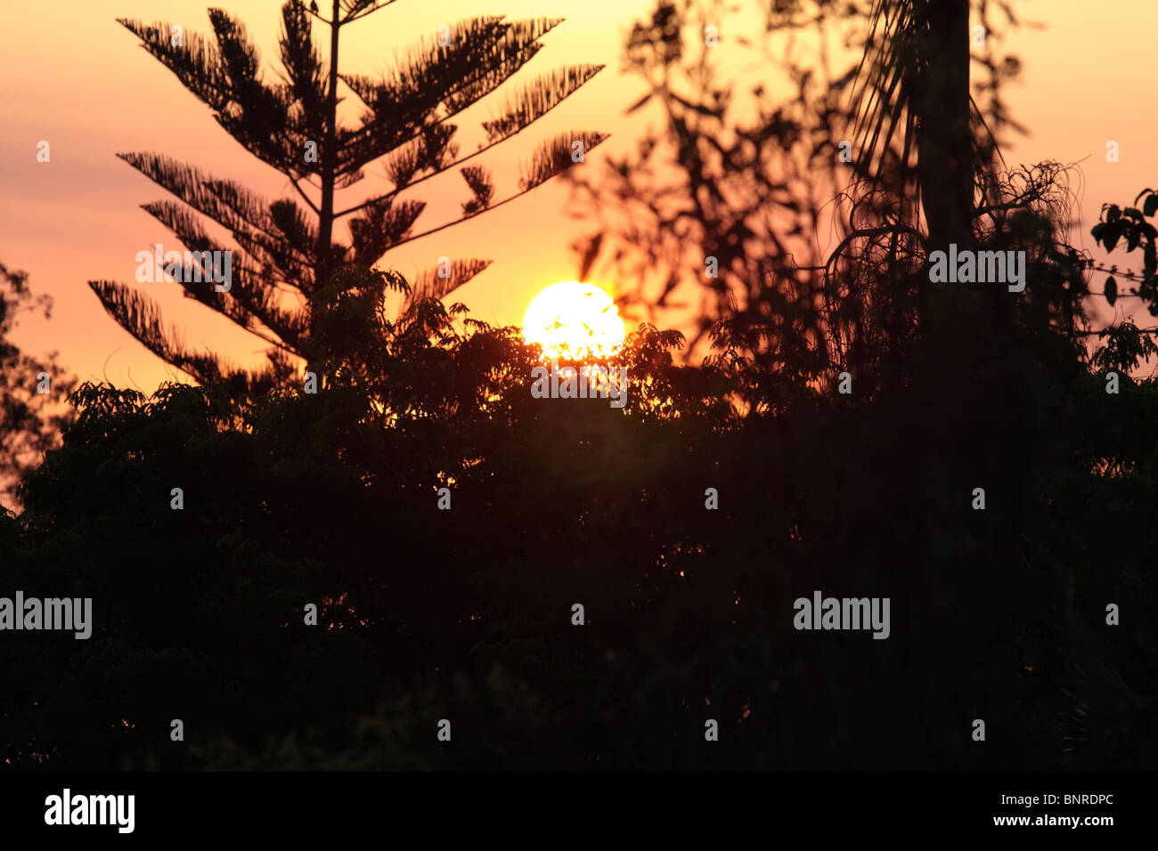 Beautiful ray of rising sun hi-res stock photography and images - Alamy