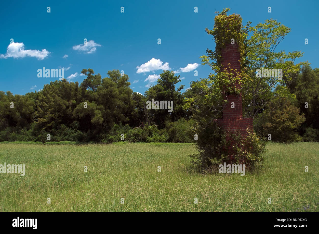 Red Chimney in a Green Field - HDR Stock Photo - Alamy