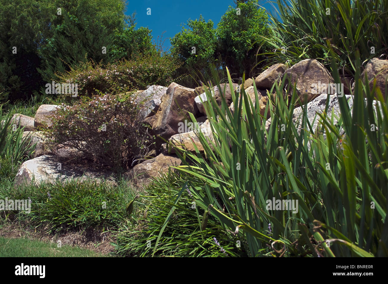 Rock Garden - HDR Stock Photo - Alamy