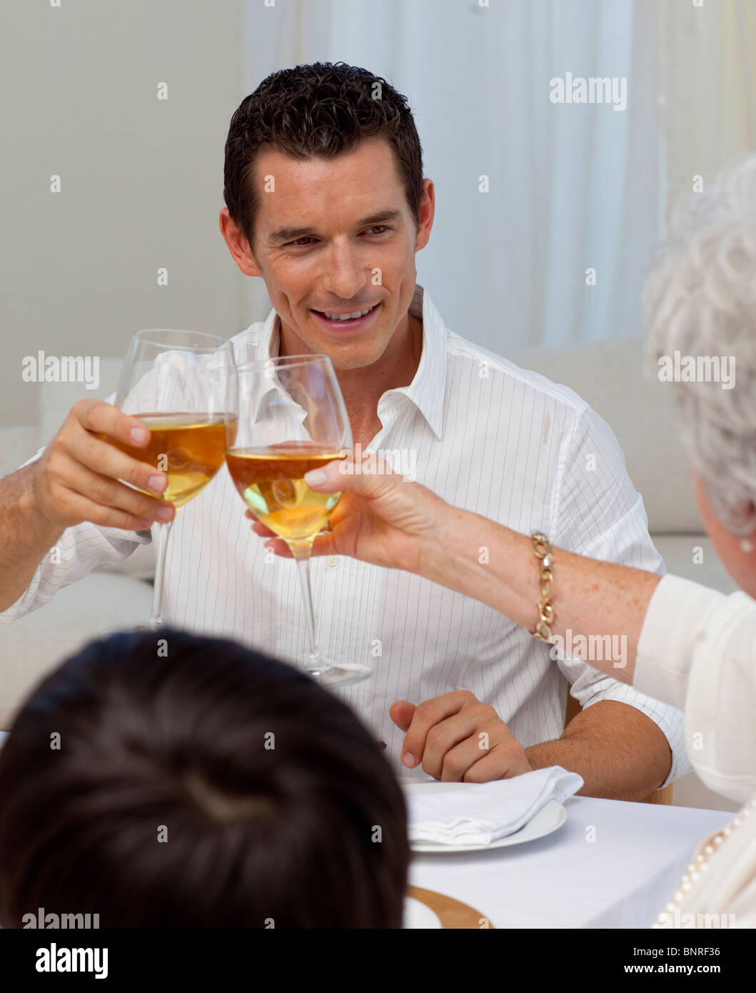 Man toasting with his mother in a Christmas dinner Stock Photo - Alamy