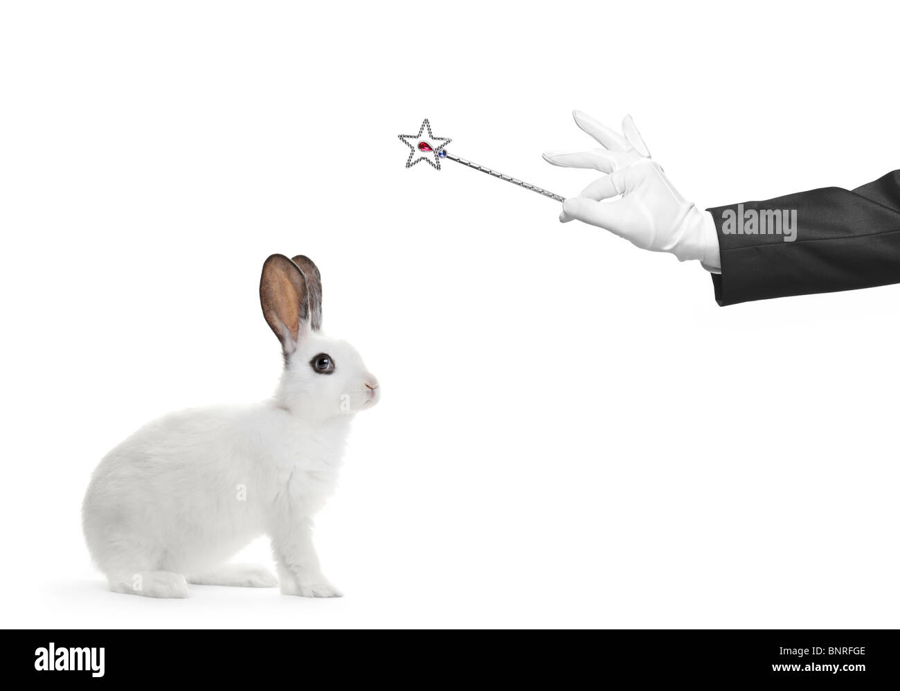 Glove hand holding stick Cut Out Stock Images & Pictures - Alamy