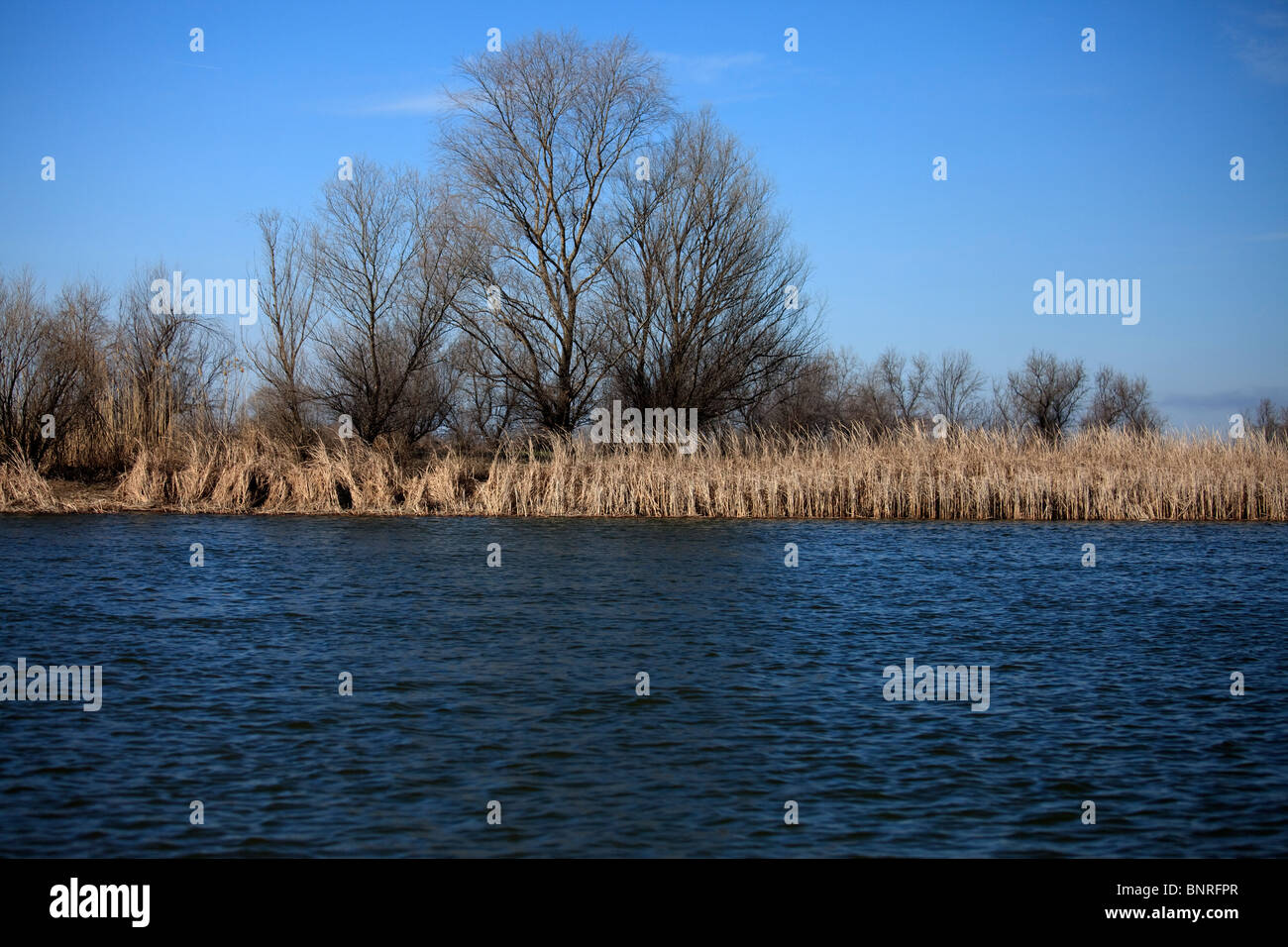 Volga region hi-res stock photography and images - Alamy