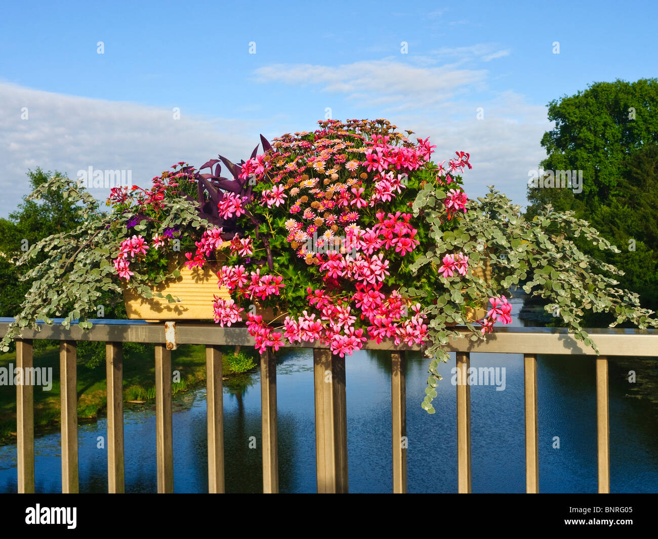 Flower display in planter on bridge handrail - France Stock Photo - Alamy