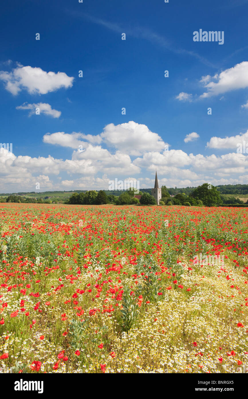 Barming High Resolution Stock Photography and Images - Alamy