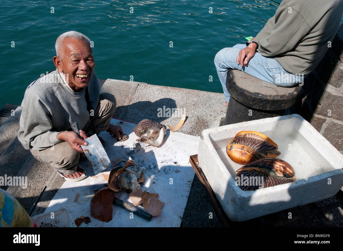 Shaukeiwan typhoon shelter hi-res stock photography and images - Alamy