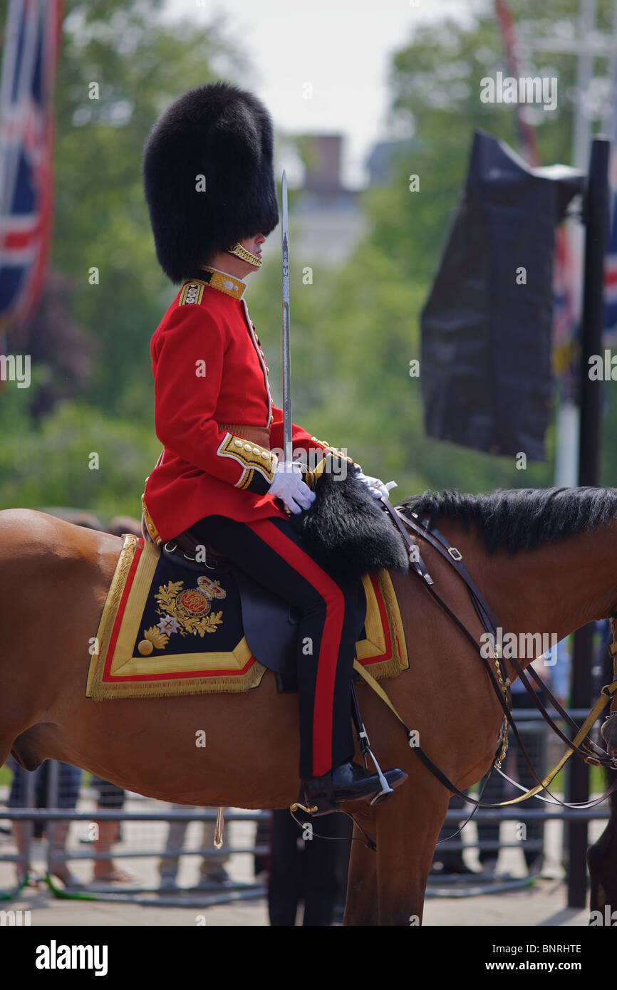 Bearskins hi-res stock photography and images - Alamy