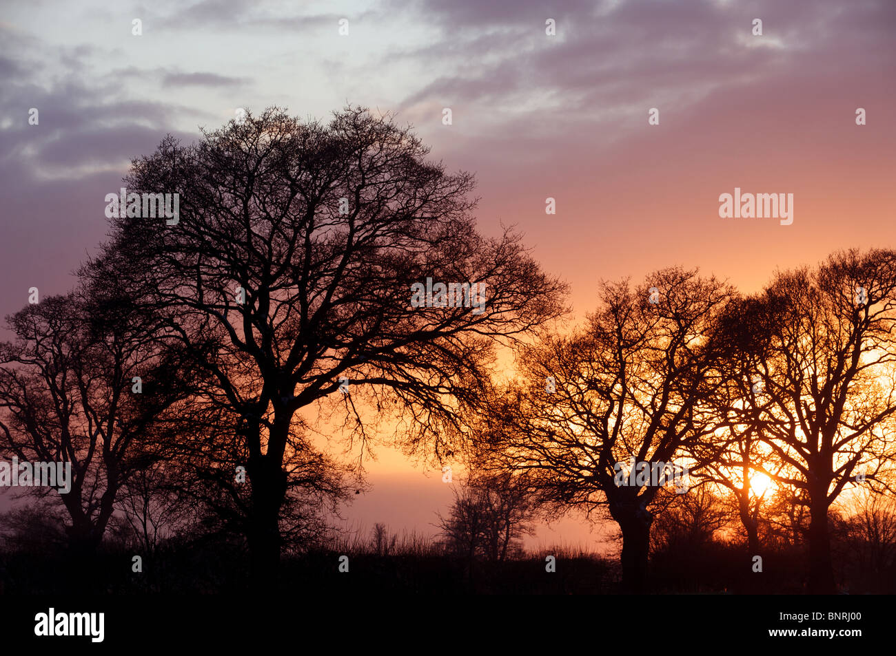 Skies over suffolk hi-res stock photography and images - Alamy