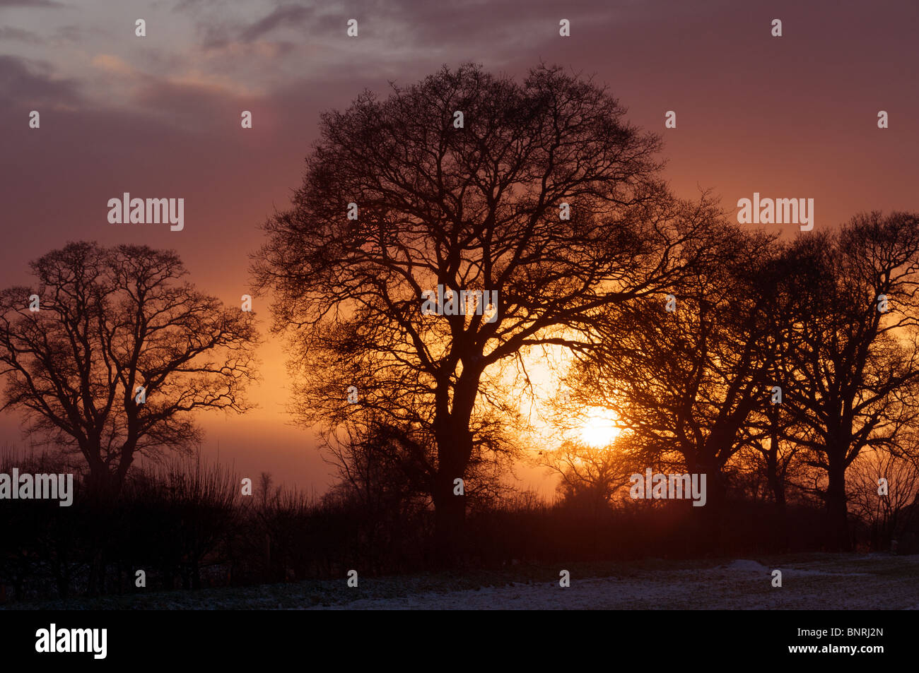 Skies over suffolk hi-res stock photography and images - Alamy