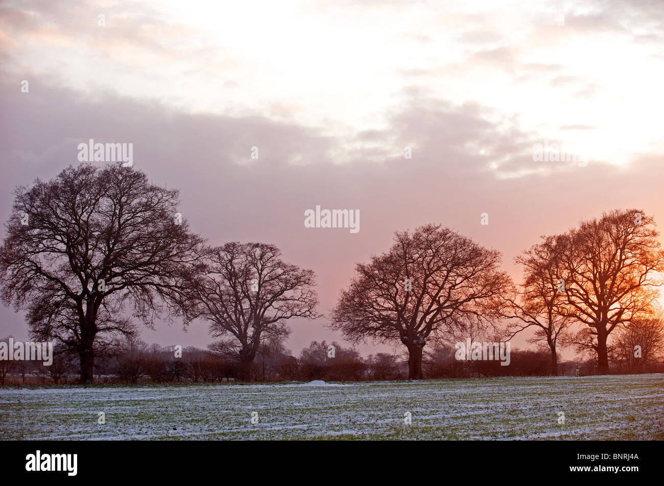 Winter sunset over Suffolk countryside Stock Photo - Alamy