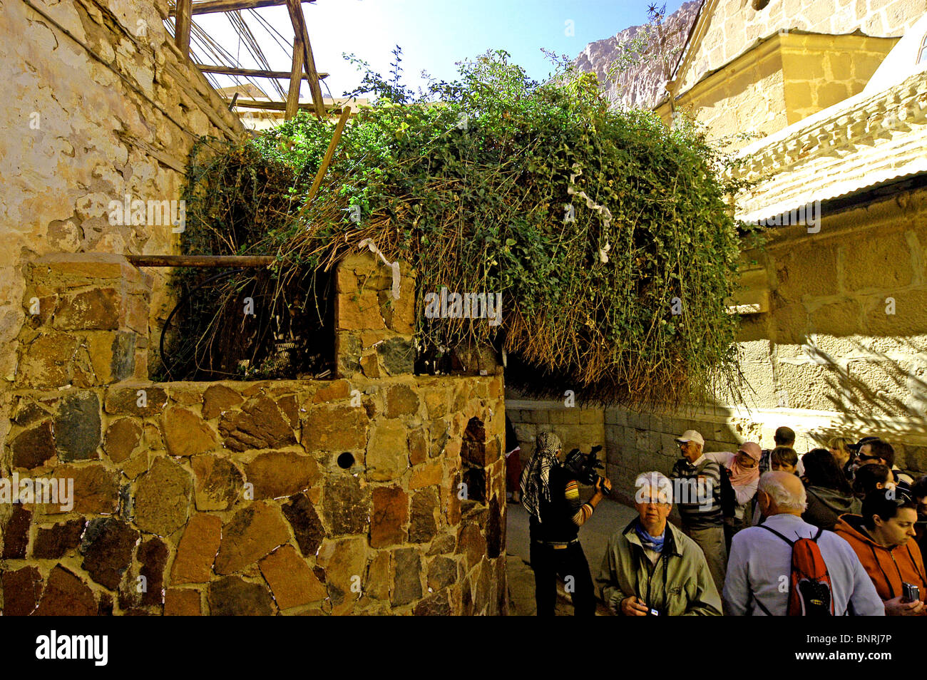 The place where according to tradition, Moses saw the burning bush ...