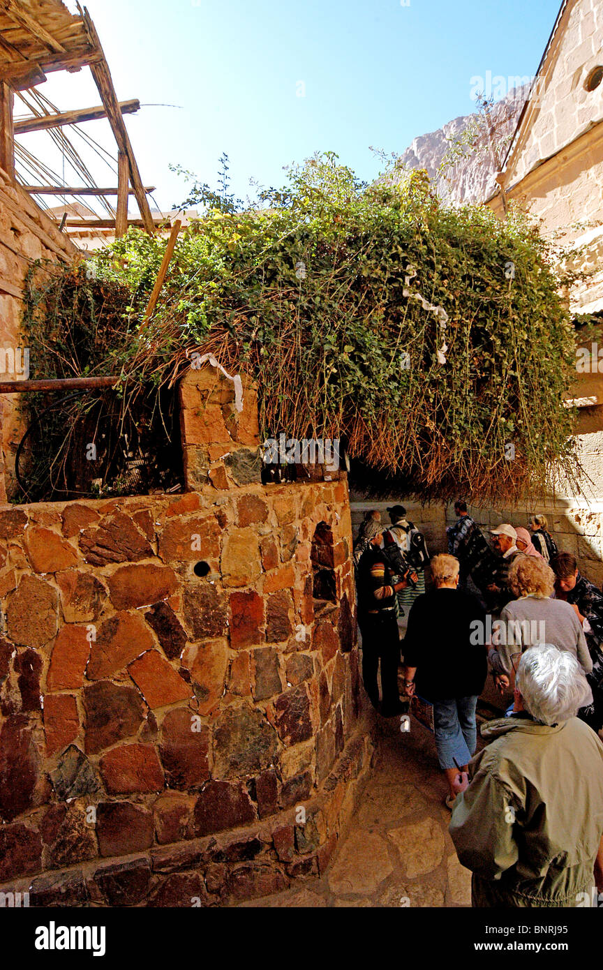 The place where according to tradition, Moses saw the burning bush ...