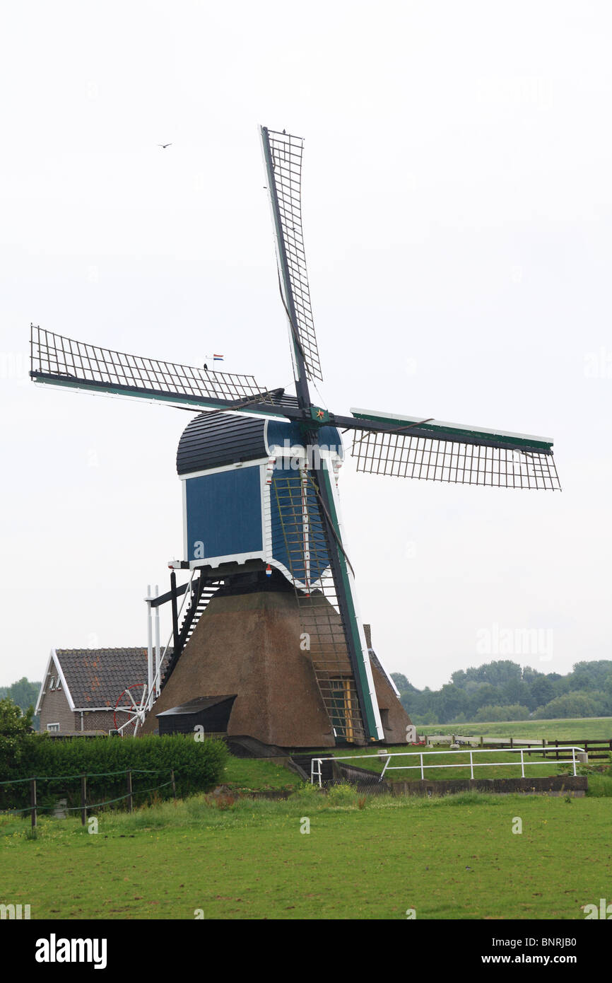 Dutch ecology hi-res stock photography and images - Alamy