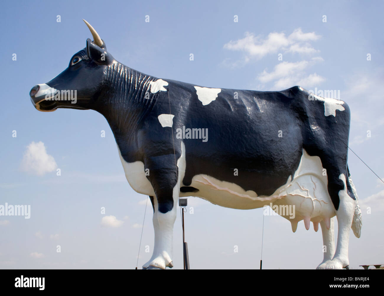 Salem Sue, the World’s Largest Holstein Cow, towers over New Salem ...