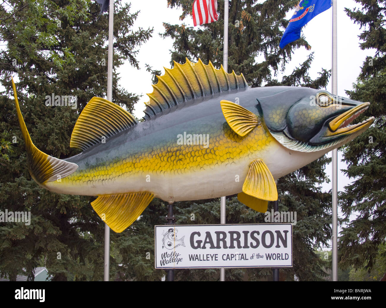 Walleye fish hi-res stock photography and images - Alamy
