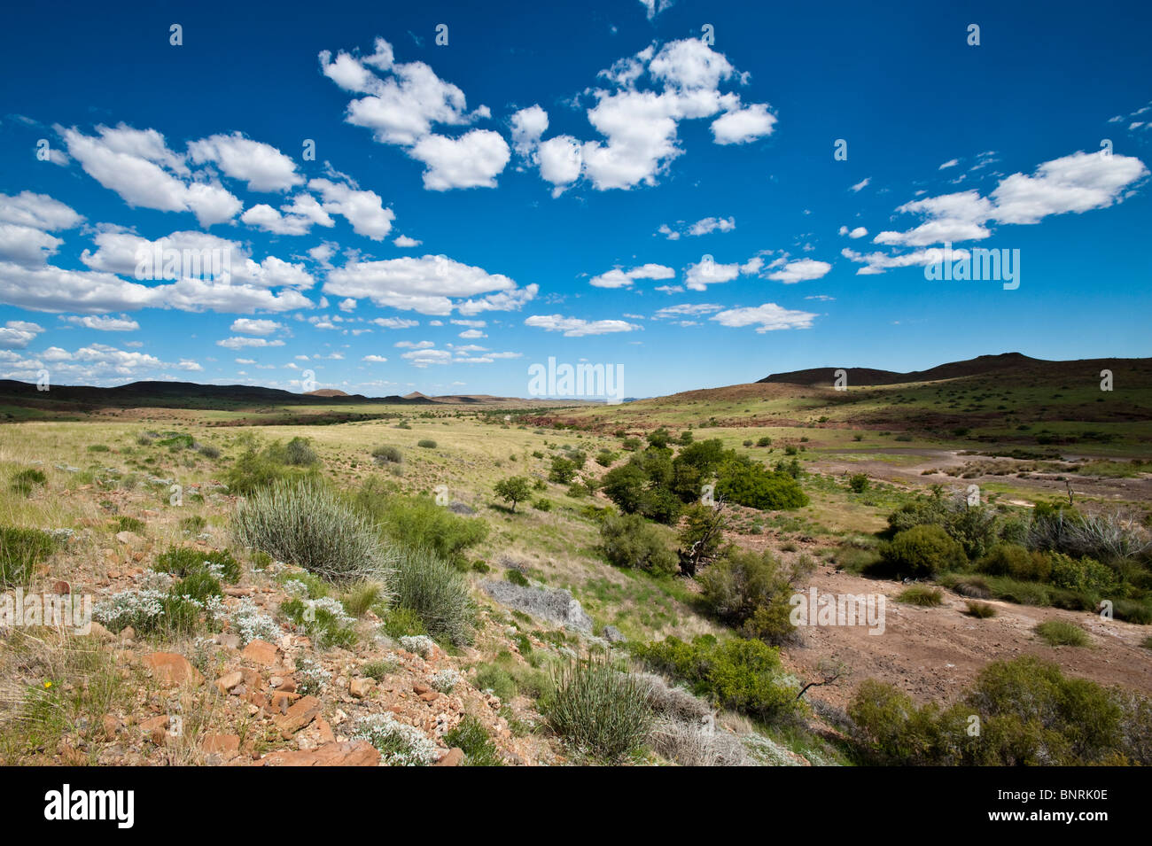 Palmwag concession area hi-res stock photography and images - Alamy