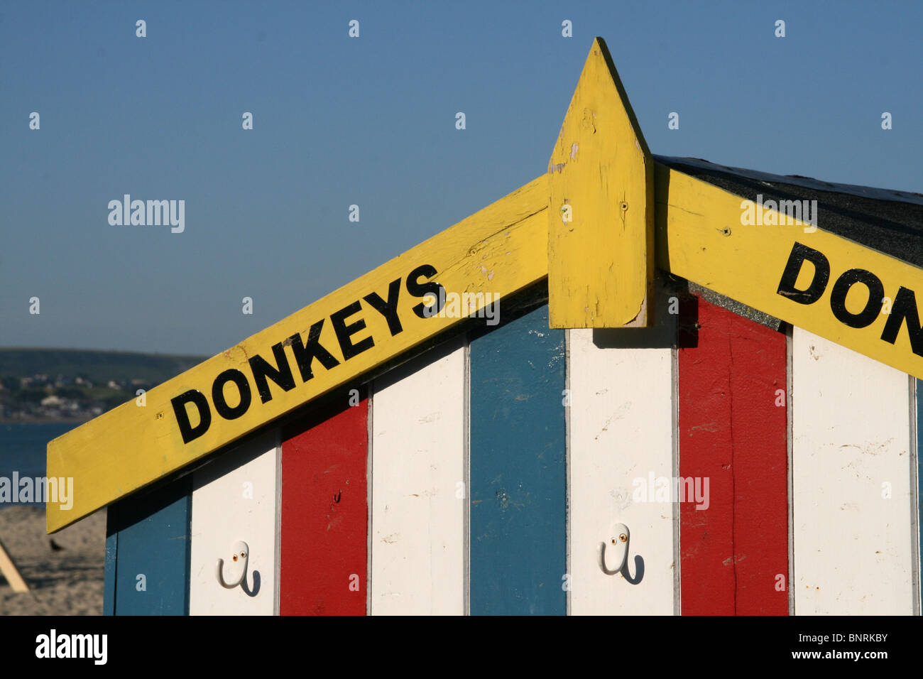 Weymouth donkeys hi-res stock photography and images - Alamy