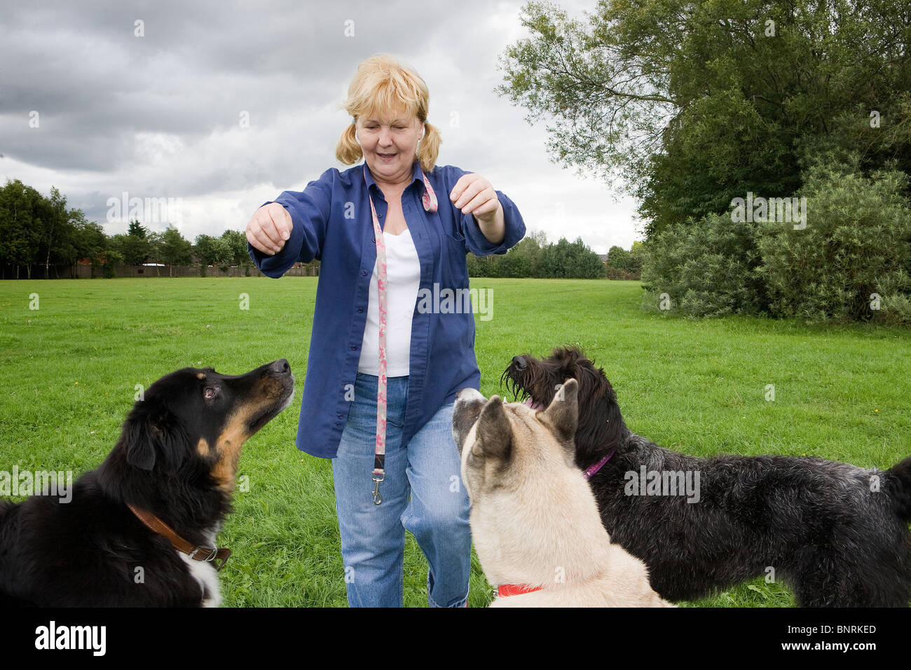 Female dog walker blond hi-res stock photography and images - Alamy