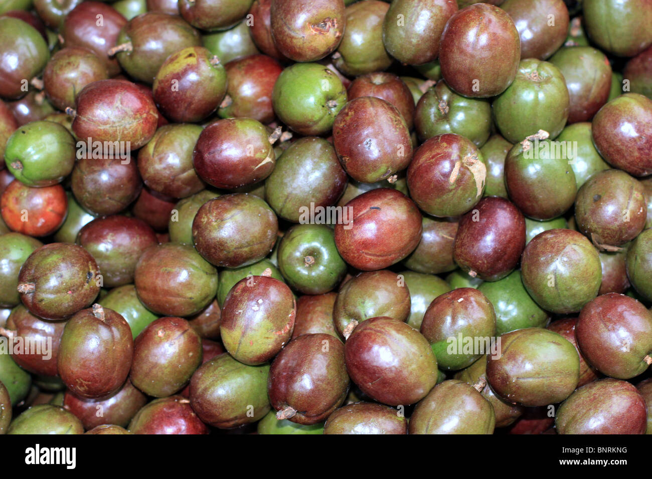 Palawan food hi-res stock photography and images - Alamy
