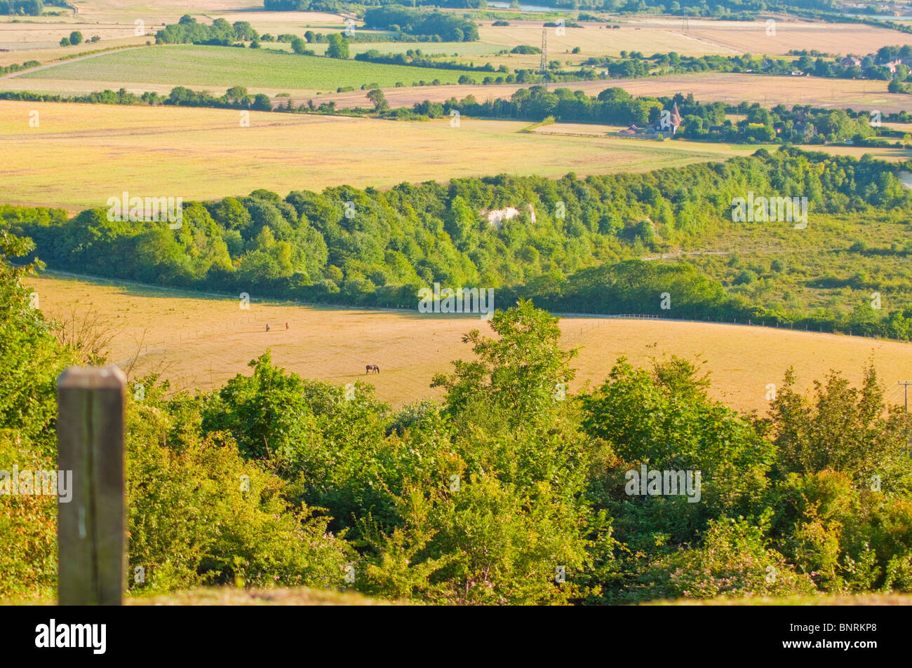 Nature and Landscape Stock Photo - Alamy