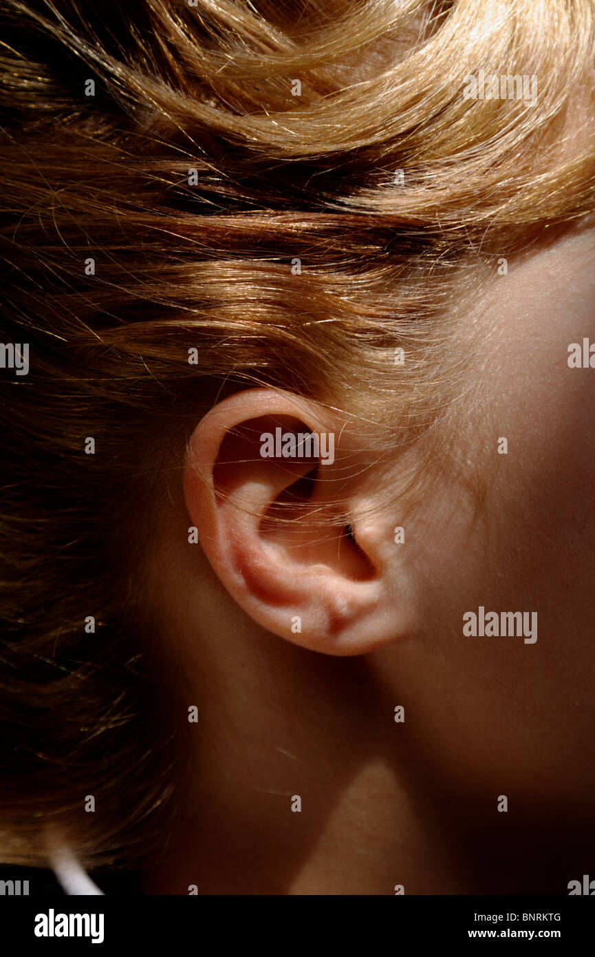 Right human ear hi-res stock photography and images - Alamy