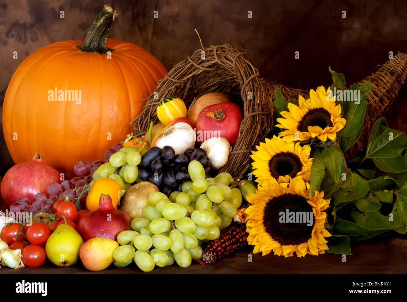 Cornucopia hi-res stock photography and images - Alamy
