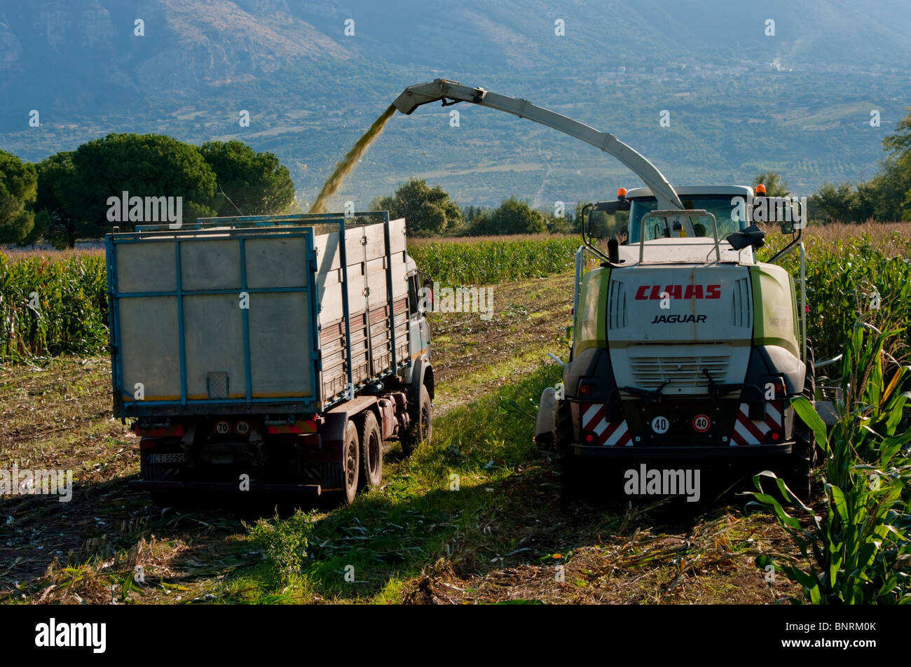 Food truck italy hi-res stock photography and images - Alamy