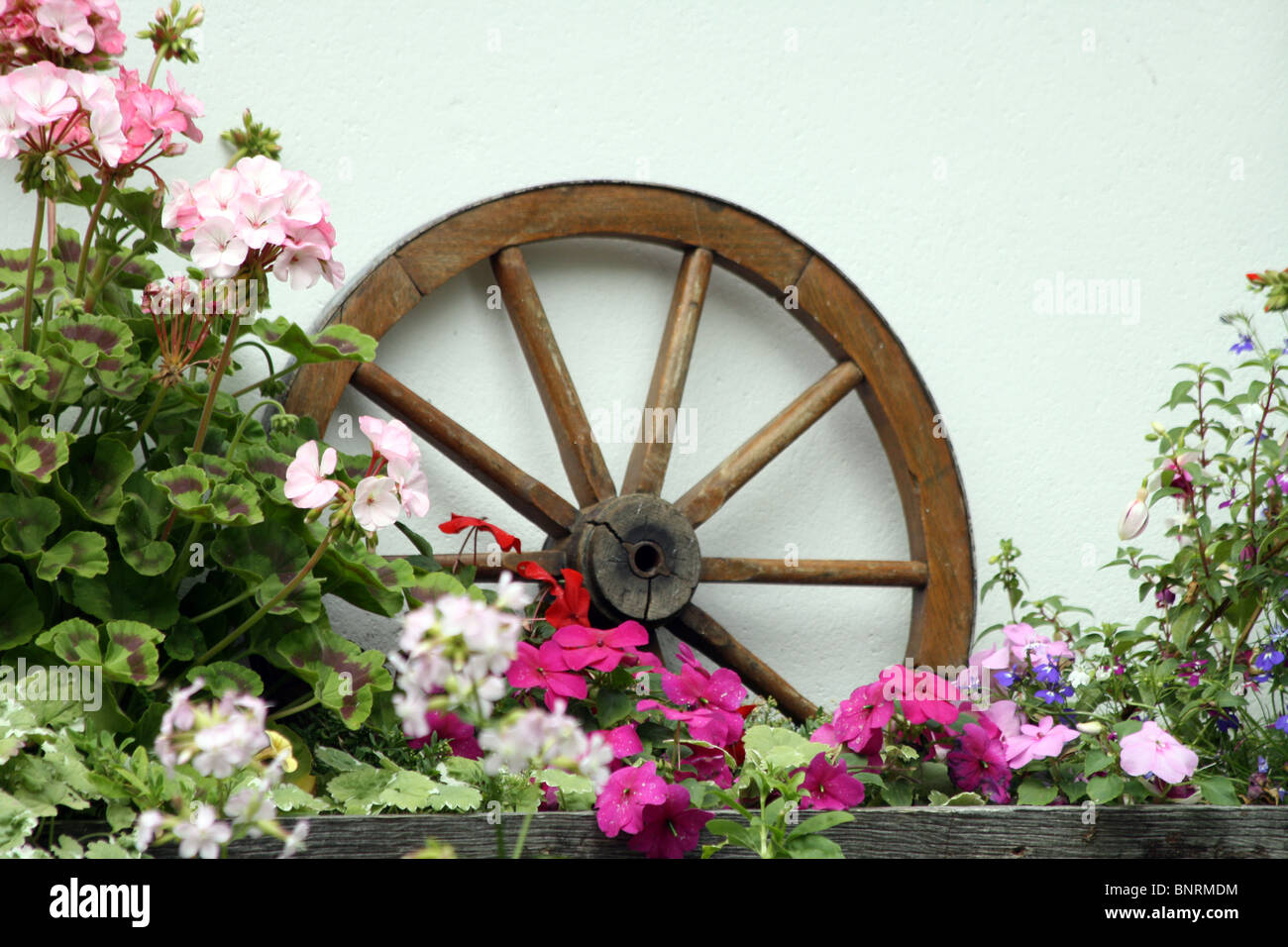 Wooden wheel with flowers Stock Photo - Alamy
