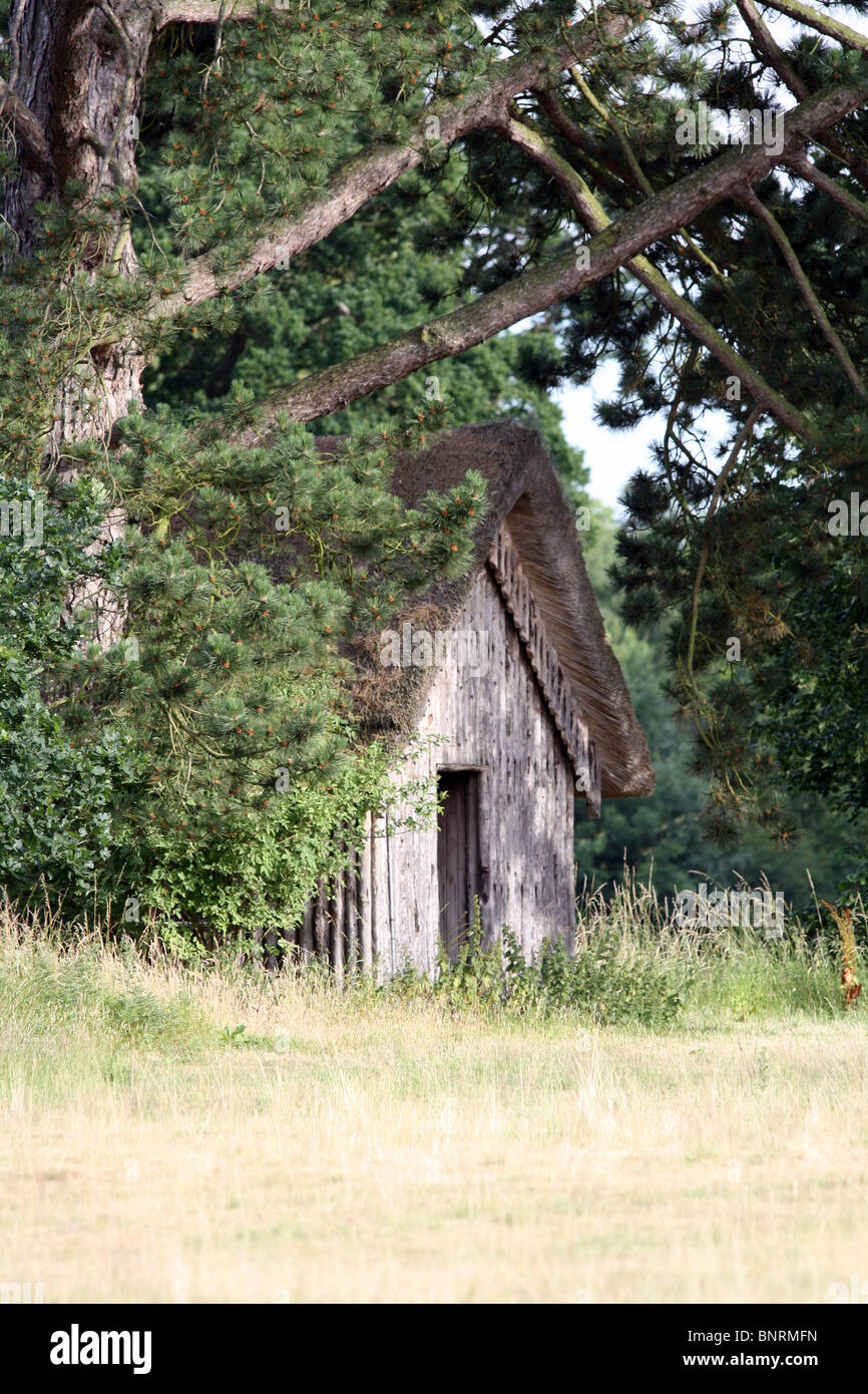 Wooden hut under a pine tree in Oxfordshire Stock Photo - Alamy