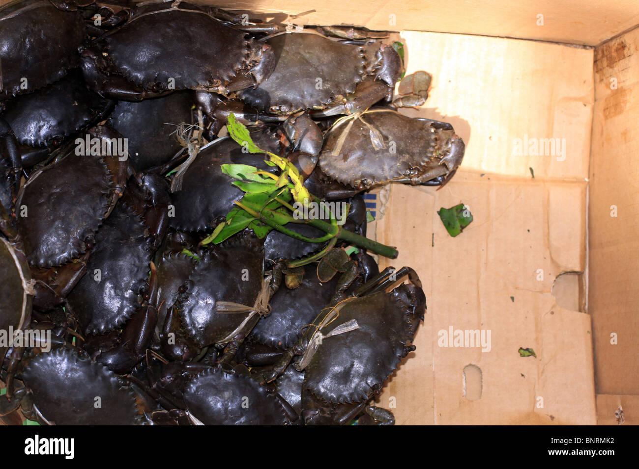 Palawan food hi-res stock photography and images - Alamy