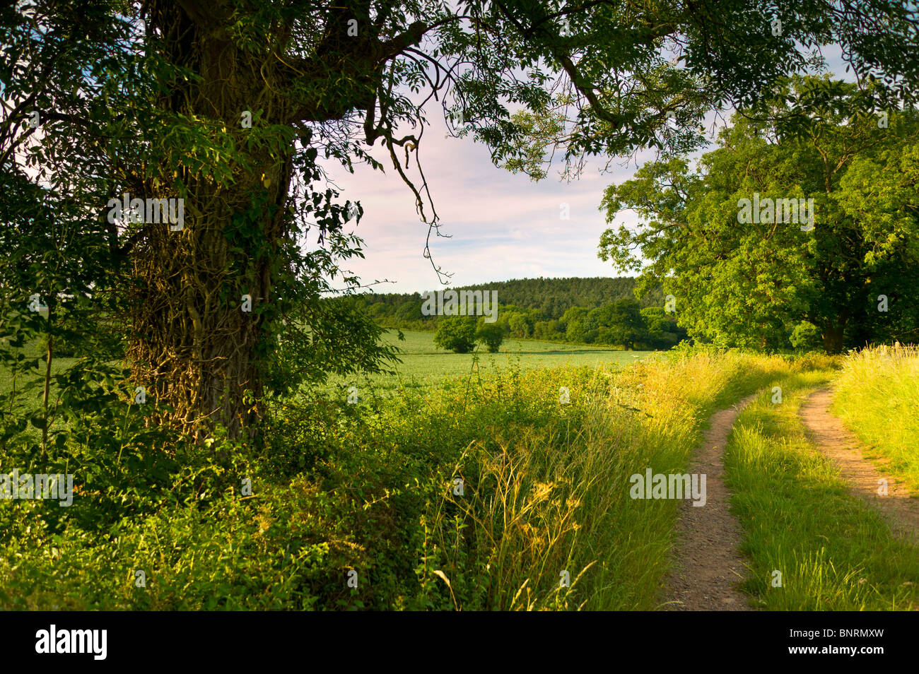 English country track hi-res stock photography and images - Alamy