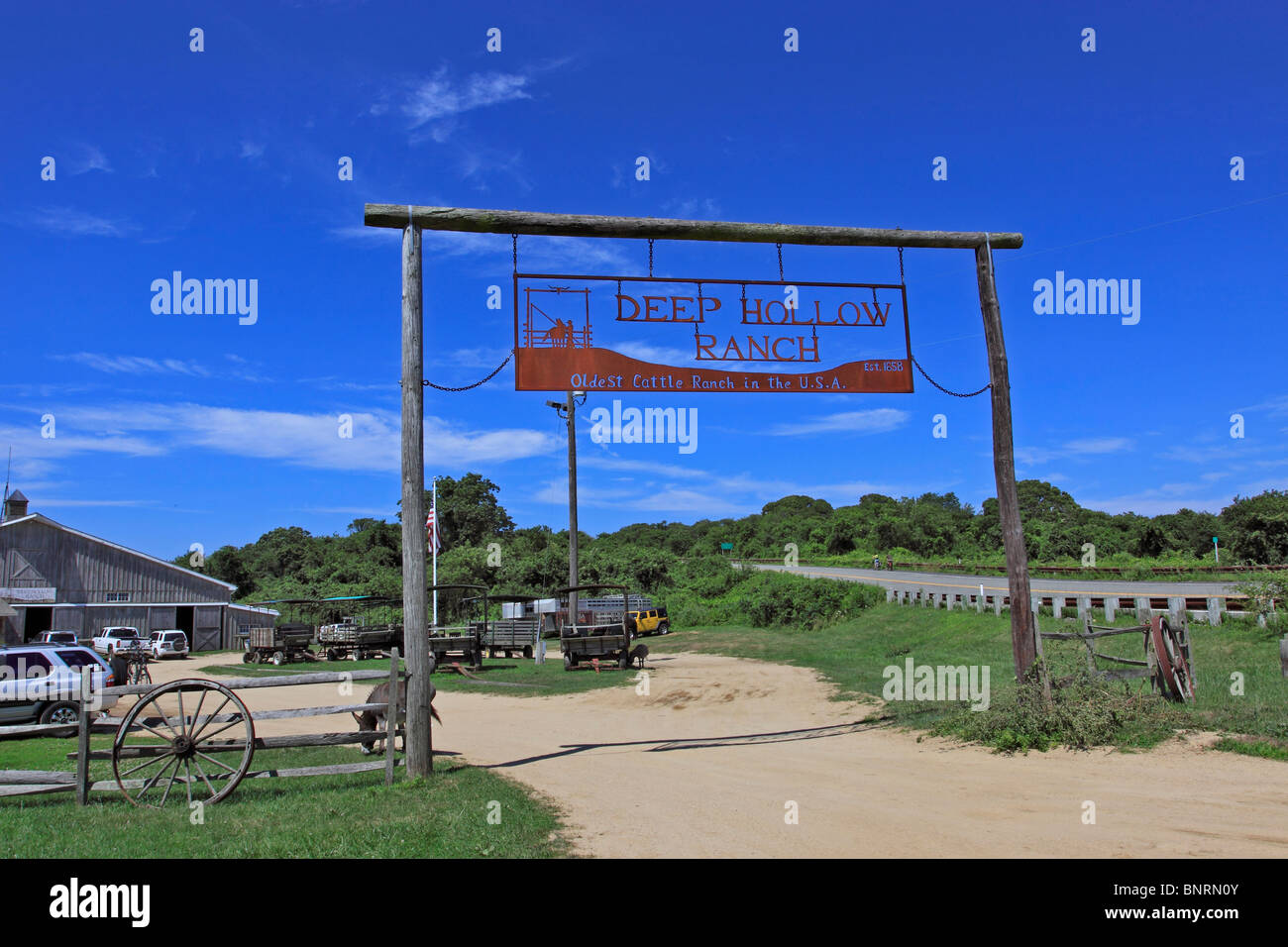 Deep Hollow Ranch, the oldest cattle ranch in the USA, Montauk Long ...