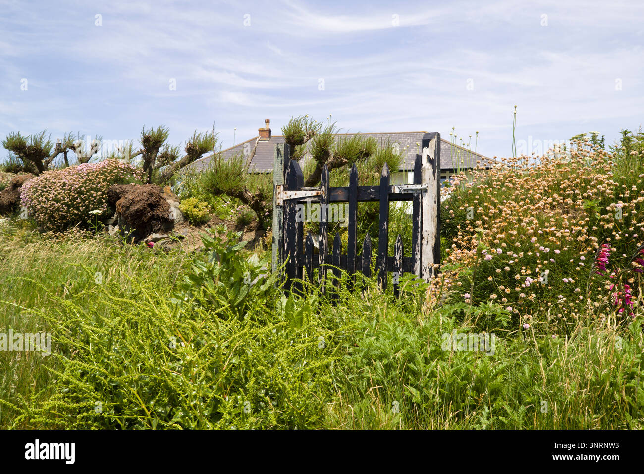 Country house in Manaccan, Cornwall (England Stock Photo - Alamy