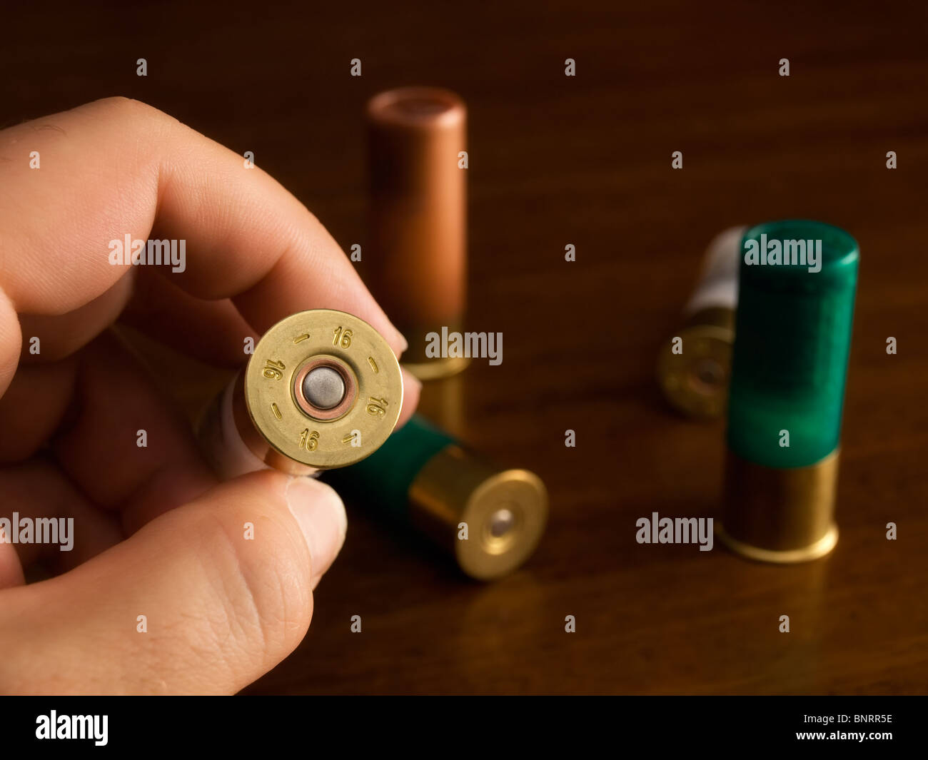 Hunter shows the caliber of hunting cartridges Stock Photo - Alamy